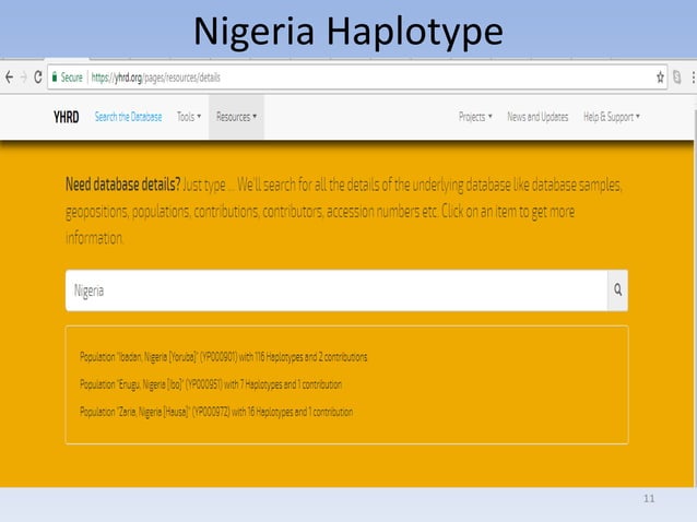 Y Chromosome Haplotype Reference Database (YHRD) ppt | PPT