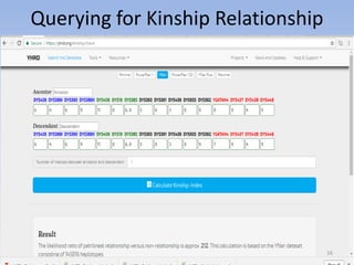 Y Chromosome Haplotype Reference Database (YHRD) ppt | PPT