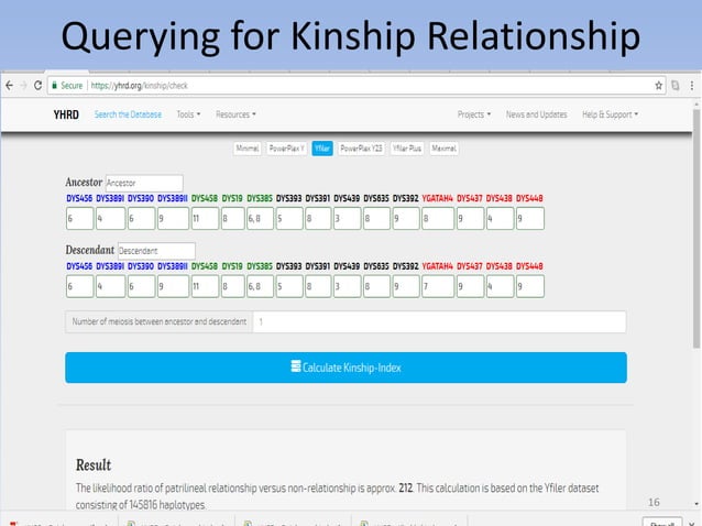 Y Chromosome Haplotype Reference Database (YHRD) ppt | PPT