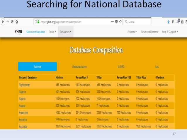 Y Chromosome Haplotype Reference Database (YHRD) ppt | PPT
