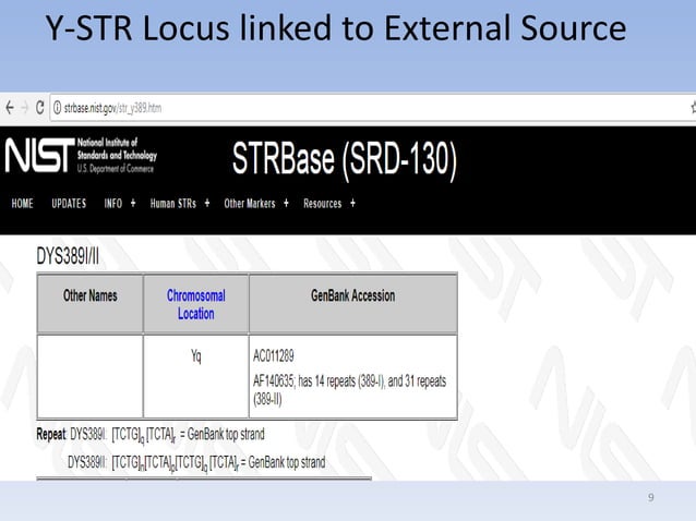 Y Chromosome Haplotype Reference Database (YHRD) ppt | PPT