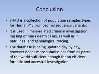 Y Chromosome Haplotype Reference Database (YHRD) ppt | PPT