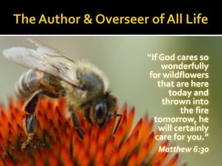 YHWH God: Author, Source, Designer & Overseer of LIfe | PPTX