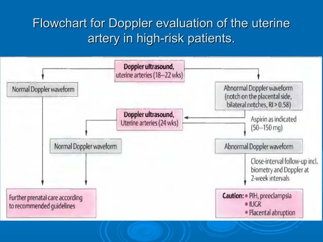 Antenatal doppler | PPSX