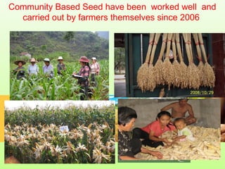 From PPB to Farmer Seed Network: Enhancing Farmer Seed System for Food ...