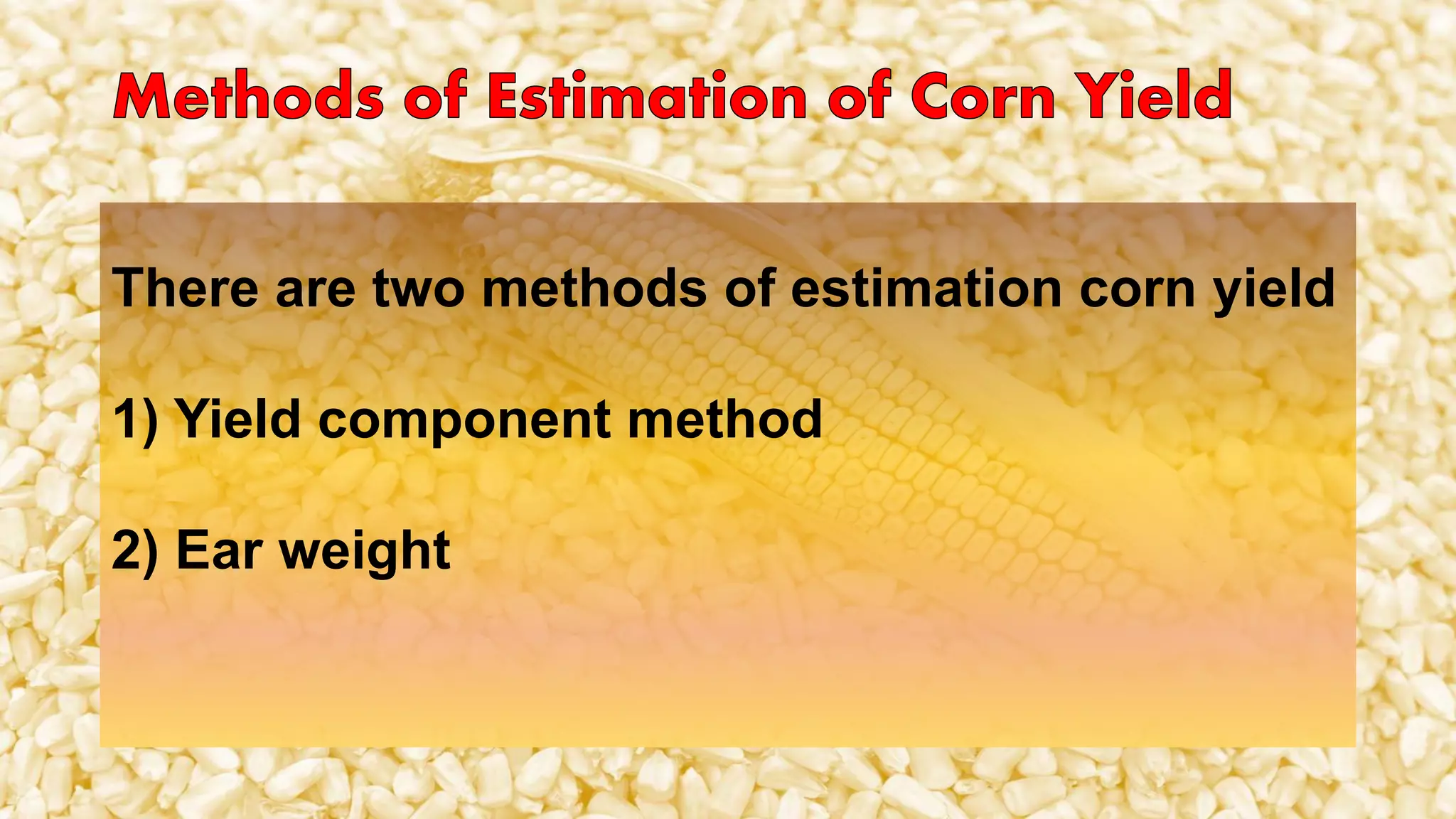 Yield contributing character of maize | PPTX