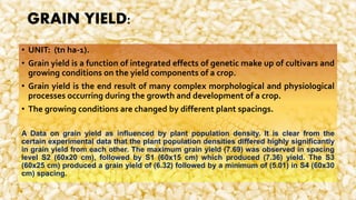 Yield contributing character of maize | PPTX