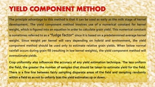 Yield contributing character of maize | PPTX