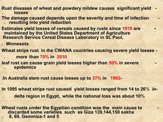 Yield losses dou to wheat rusts and powdery | PPT