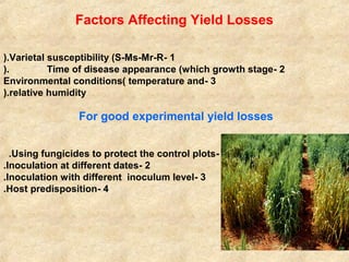 Yield losses dou to wheat rusts and powdery | PPT | Agriculture ...