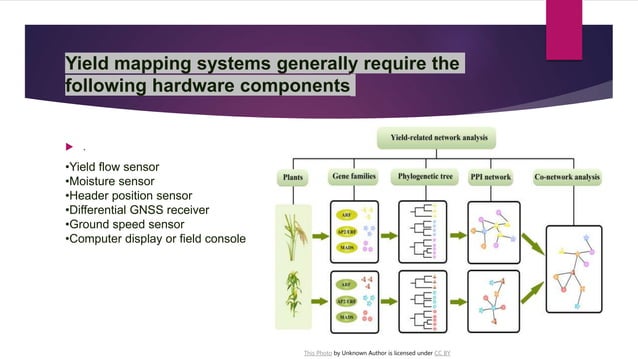 YIELD MONITORING.pptx
