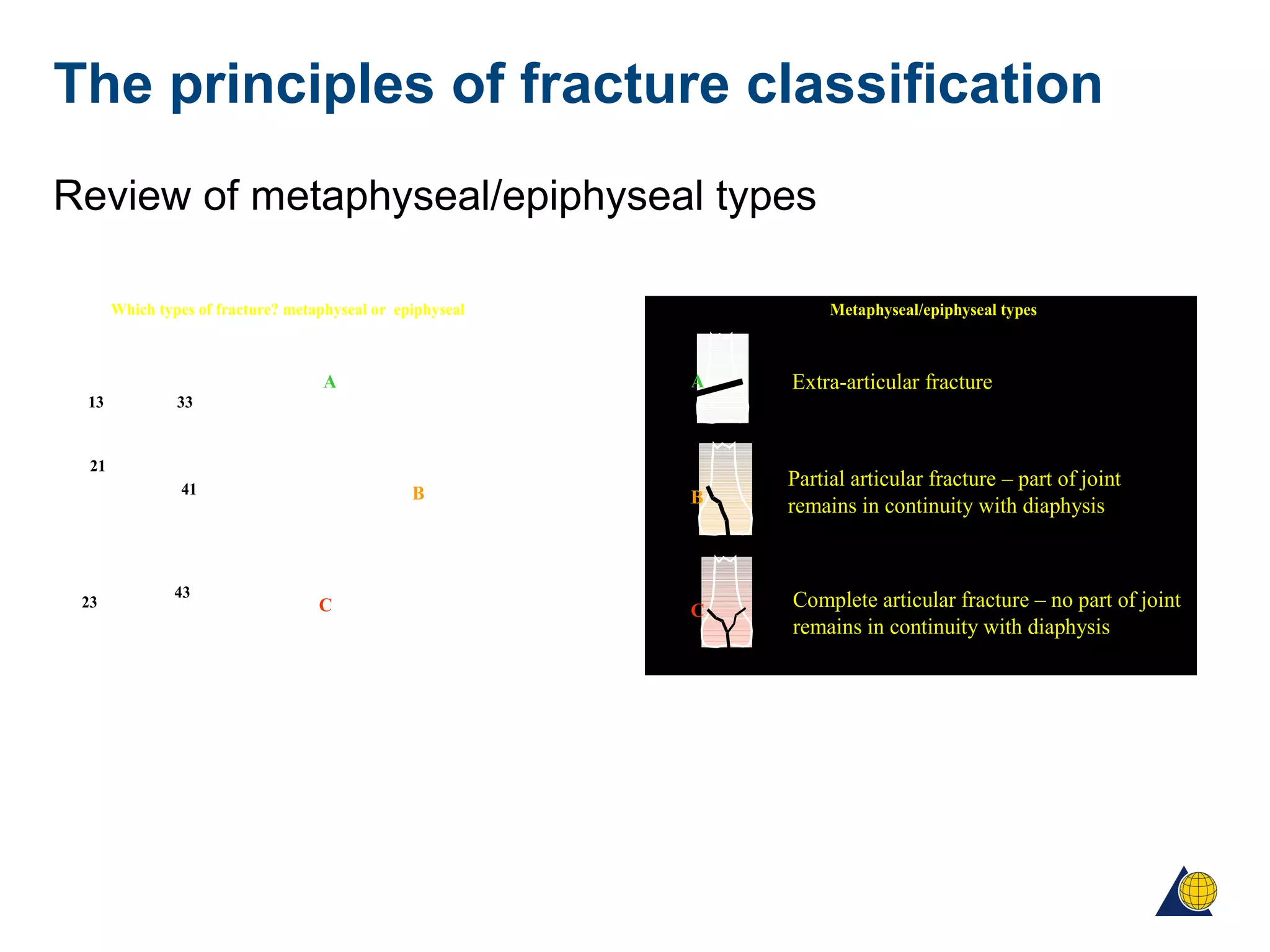 AO Classification | PPT