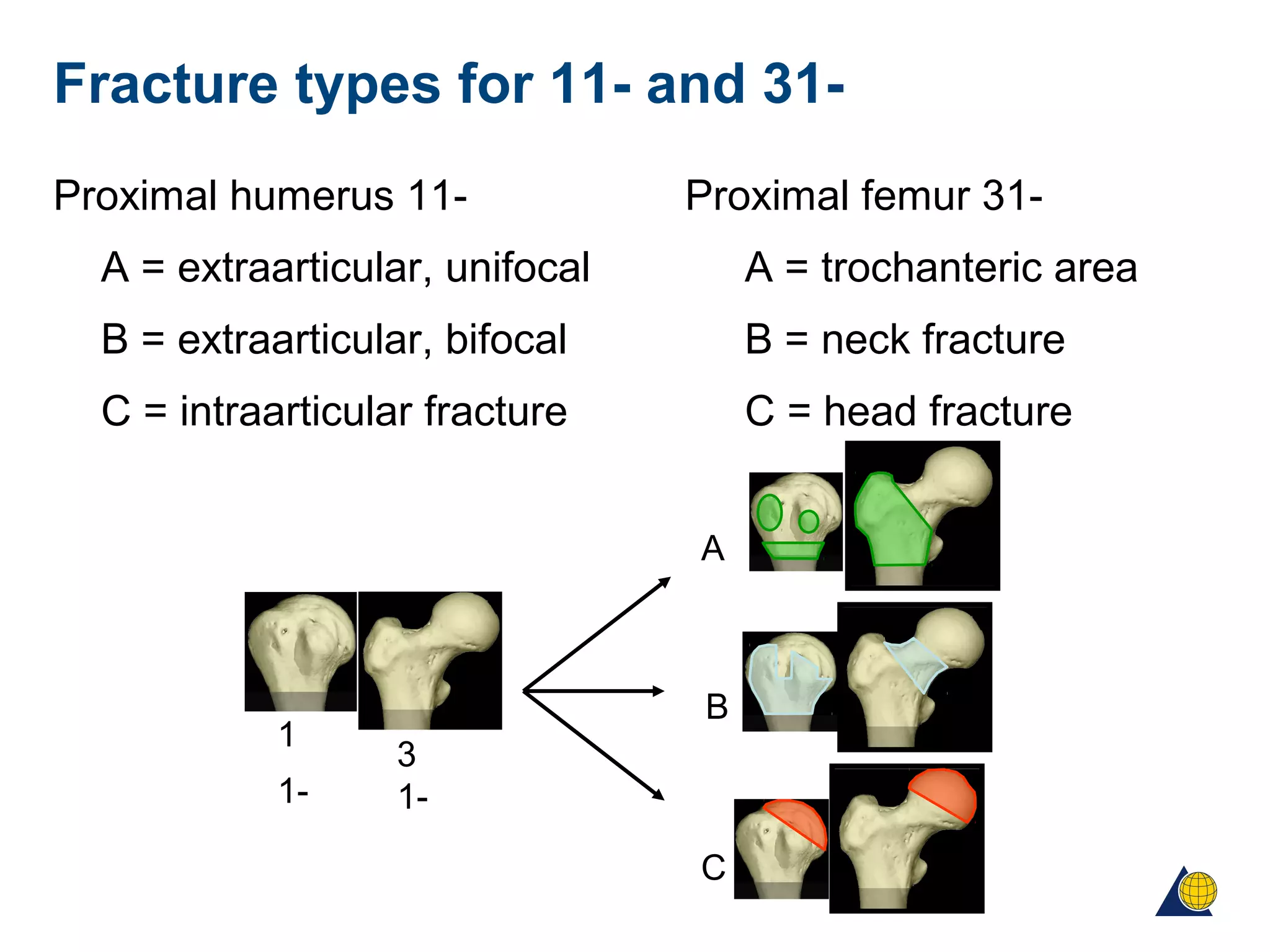 AO Classification | PPT