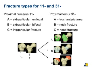 AO Classification | PPT