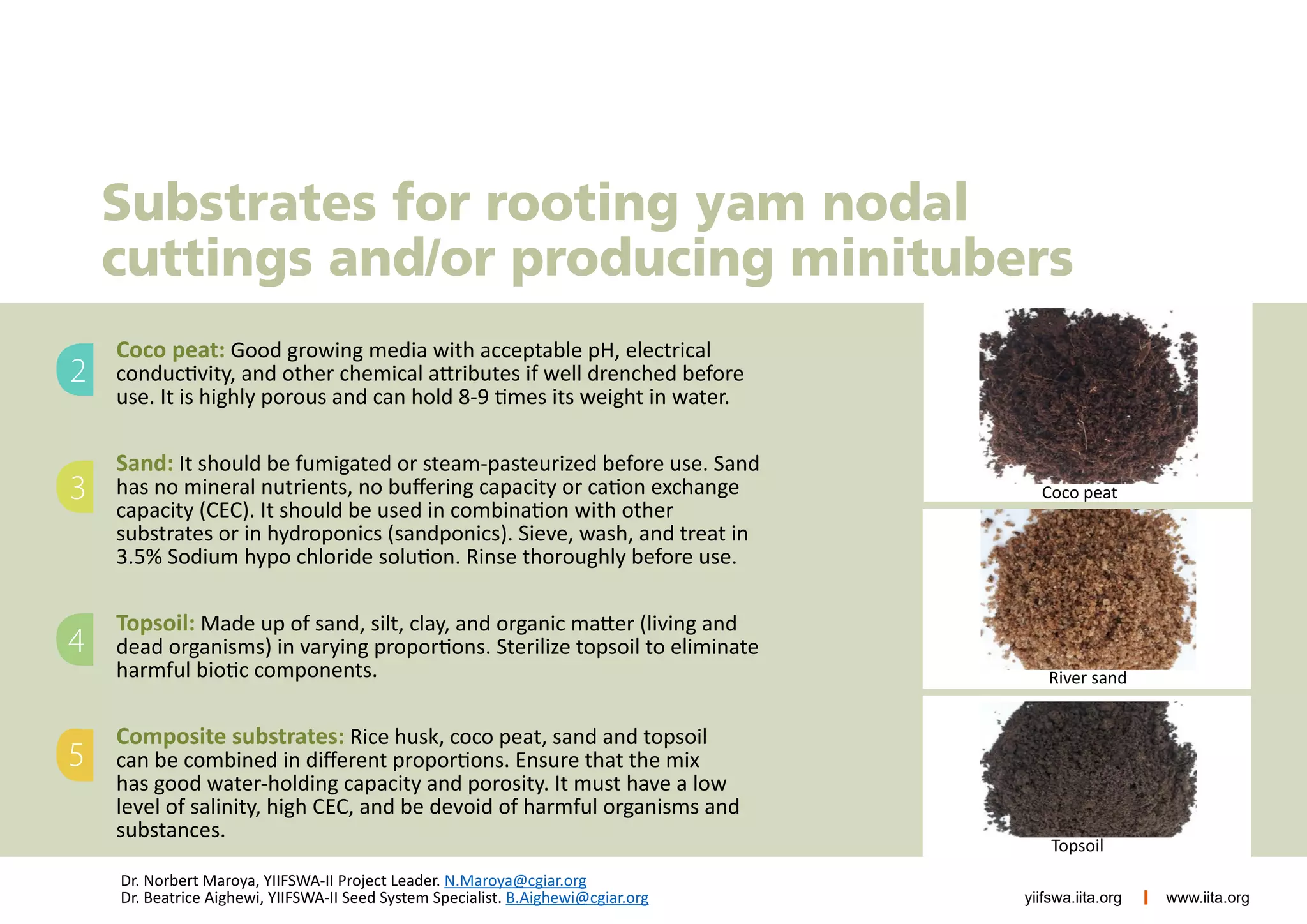 Producing yam mother plants to collect vines for propagation | PPT