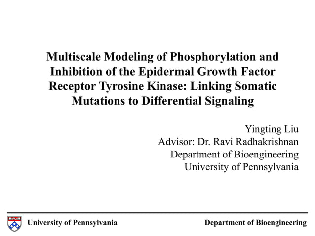 Multiscale Modeling of Phosphorylation and Inhibition of the Epidermal Growth Factor Receptor ...