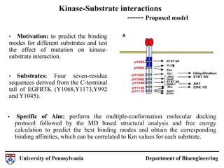Multiscale Modeling of Phosphorylation and Inhibition of the Epidermal Growth Factor Receptor ...