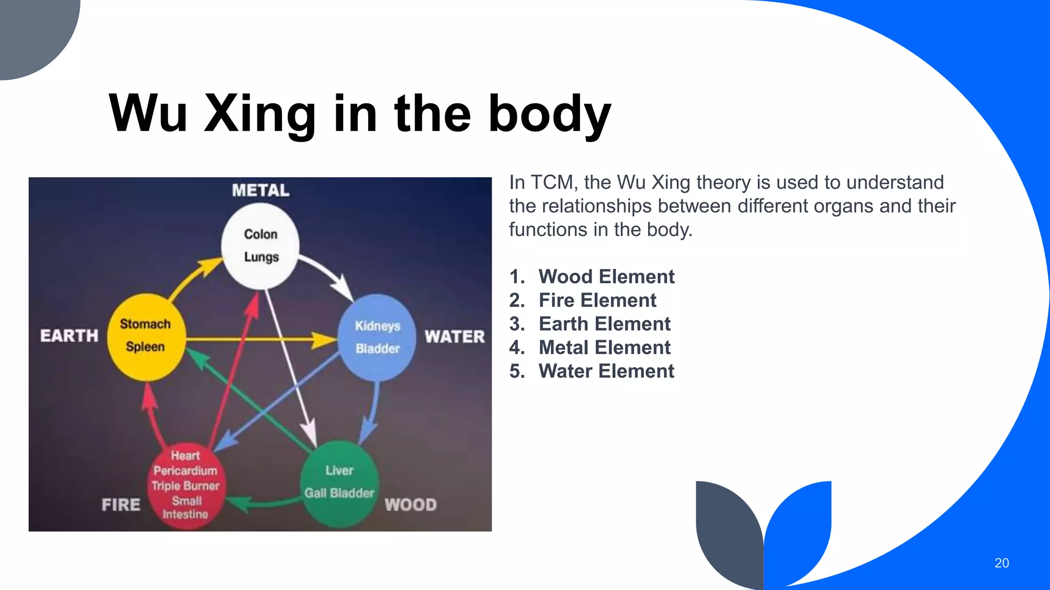 Yin Yang and Wu Xing Theory in Traditional Chinese Medical Treatment.pptx