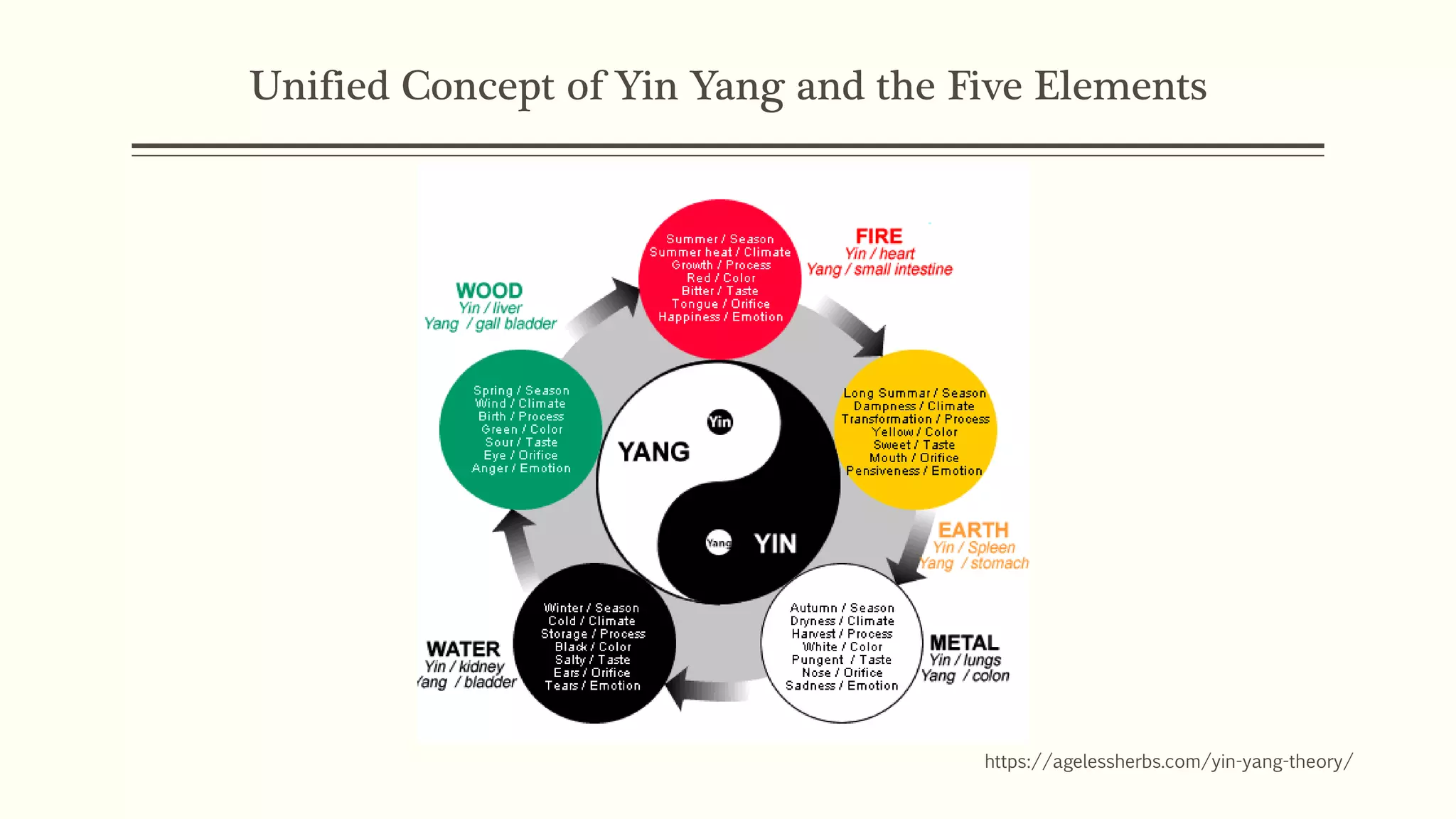 Chinese philosophy and the applications of Yin Yang and the Five ...
