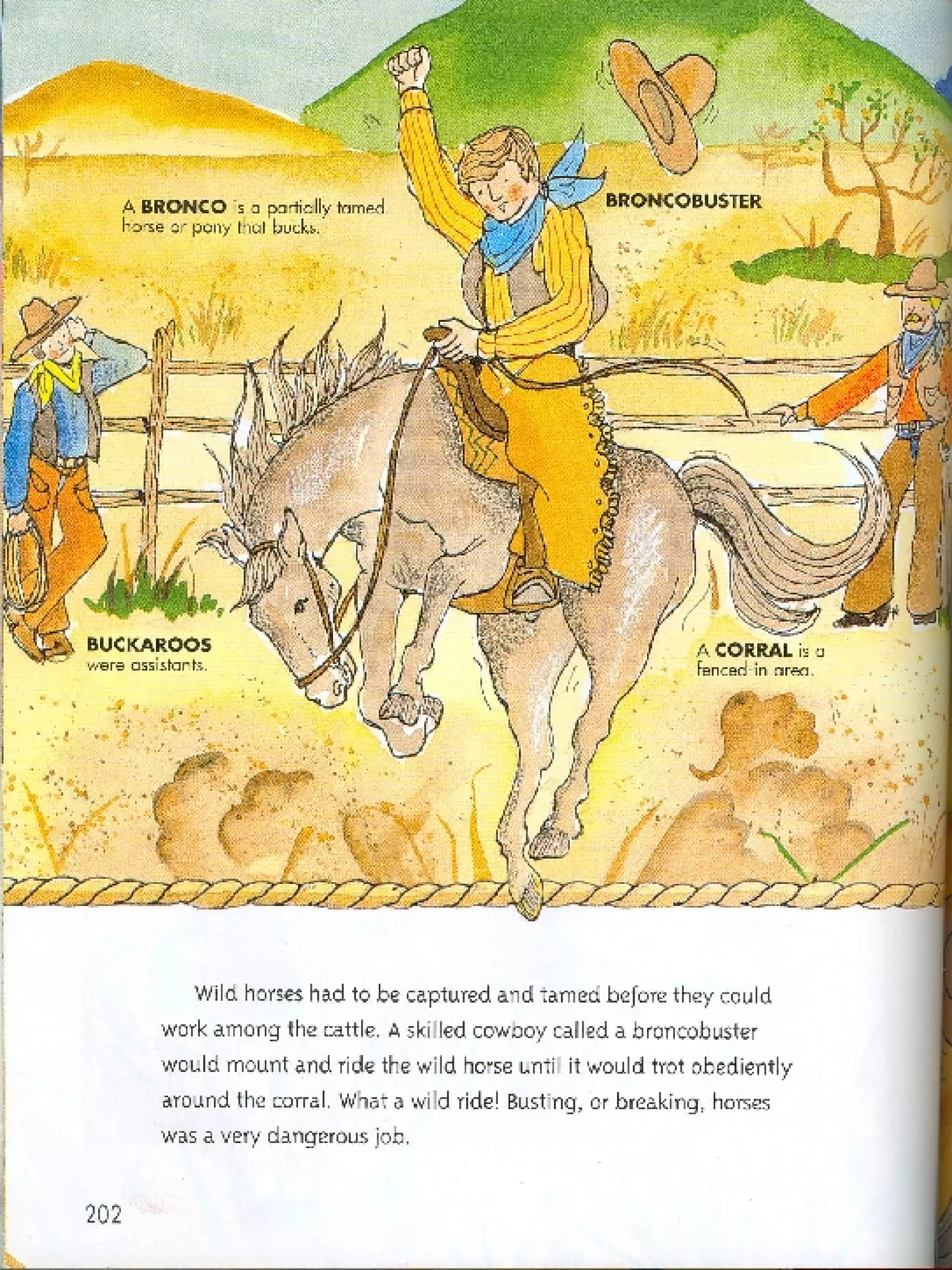 Yippee Yah A Book About Cowboys And Cowgirls | PPT