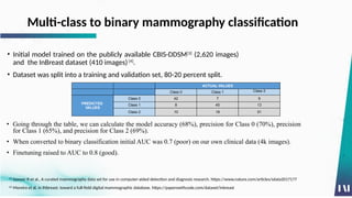 [DSC Europe 25] Dubravko Culibrk - Deep Learning for Mammography.pptx