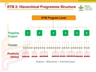 RTB at IITA - Background | PDF