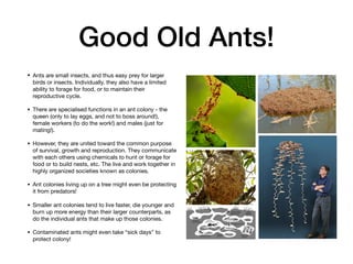 The Superorganism Mindset | PPT