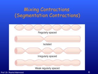 Movements of small and large intestine | PPT