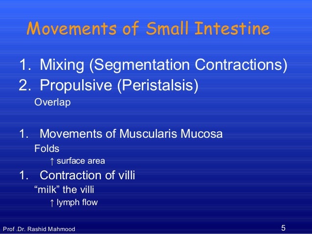 Movements of small and large intestine