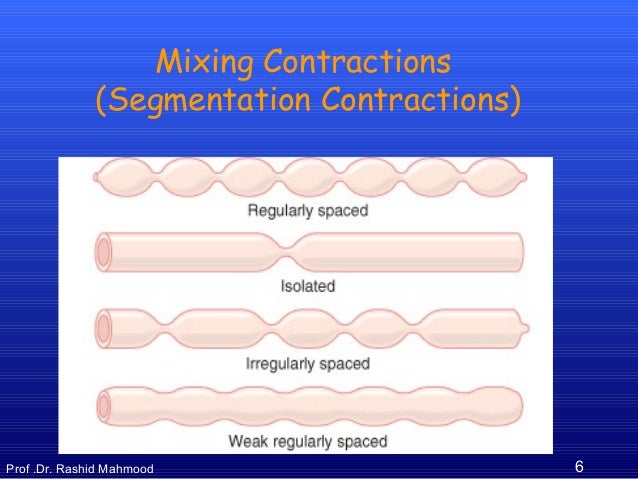 Movements of small and large intestine