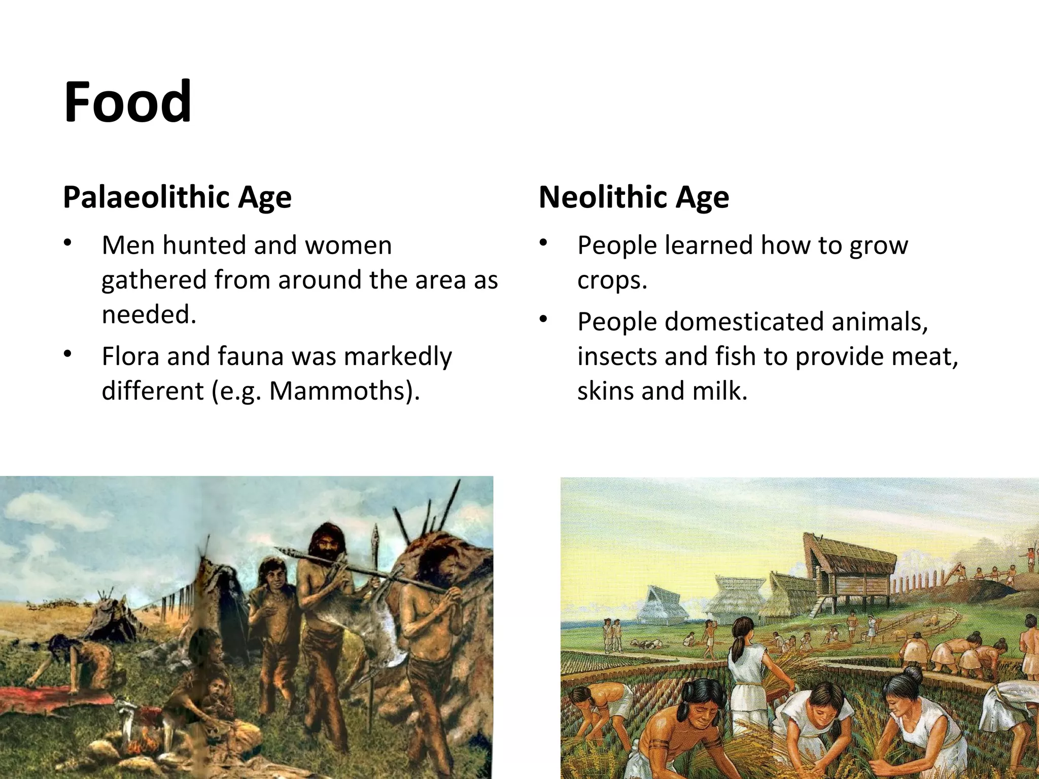 Palaeolithic and neolithic ages | PPT