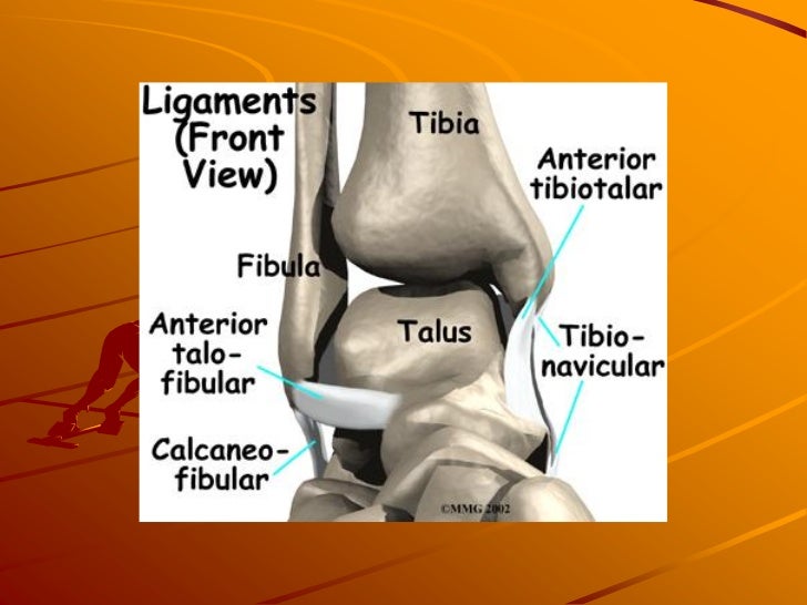 Tyypilliset urheilijan nilkka- ja polvivammat ja niiden ennaltaehkäisy