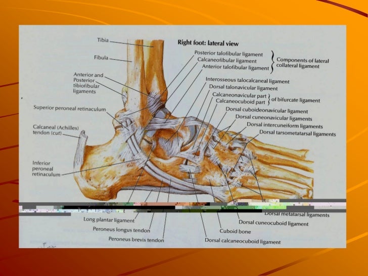 Tyypilliset urheilijan nilkka- ja polvivammat ja niiden ennaltaehkäisy