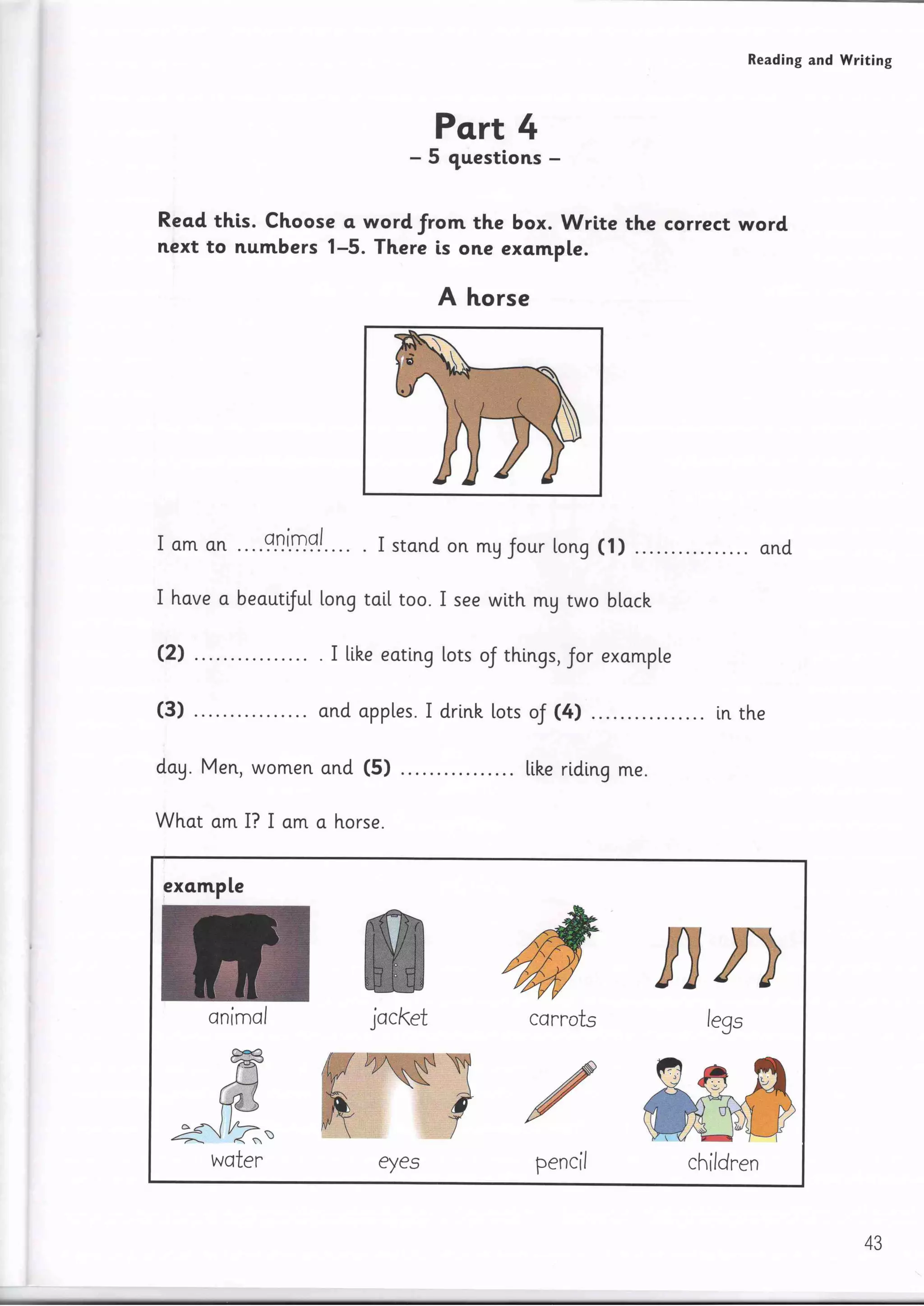 Yle starters1 tests | PDF