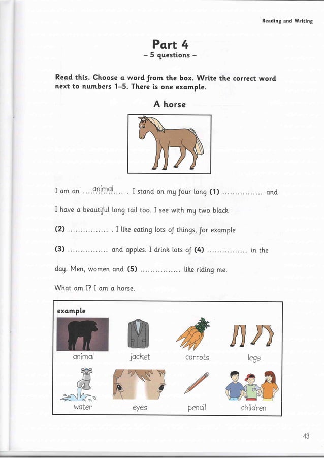 Yle starters1 tests | PDF