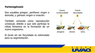 2_TIPOS_DE_REPRODUCCION_EN_LOS_SERES_VIVOS.pptx