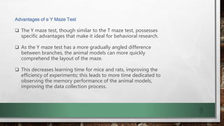 Y MAZE- Valiant | PPTX