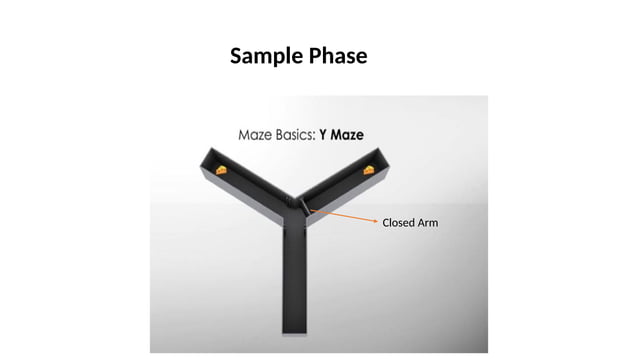 Y–Maze detailed SOP with both spontaneous and reward based alteration ...