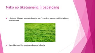 MAATANG_MOKITIcmp.Liketoane | PPTX