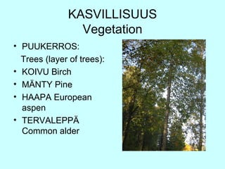 AUTUMN IN FINLAND | PPT