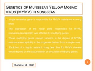 Ymv tolerance in greengram | PPT
