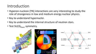 YN-interaction at UofYork.pptx