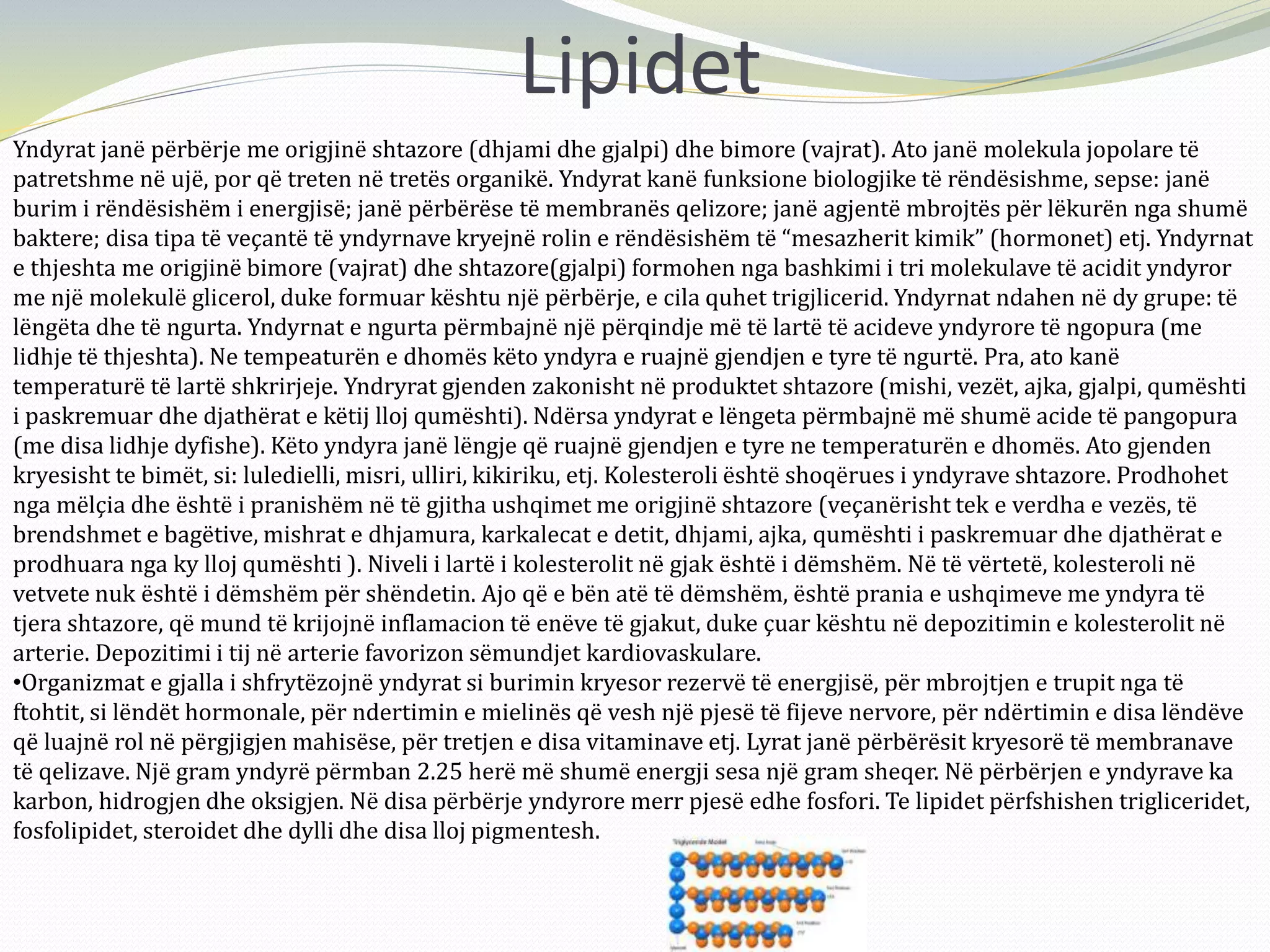 Yndyrat dhe sheqernat | PPTX