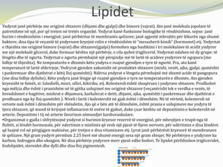 Yndyrat dhe sheqernat | PPTX