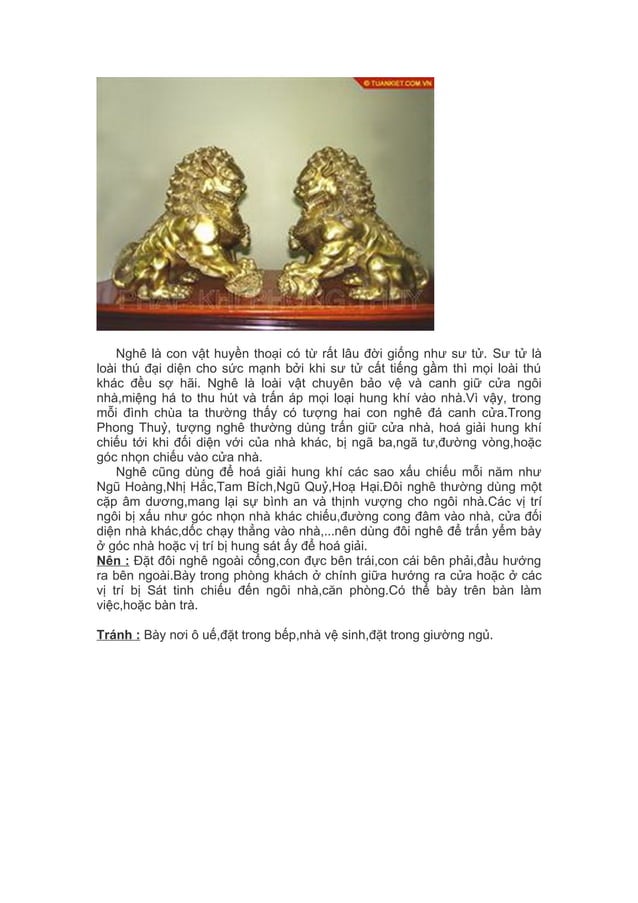 Y nghia cac con vat trong phong thuy | DOC