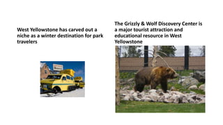 Economics in Yellowstone | PPTX