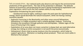 Economics in Yellowstone | PPTX