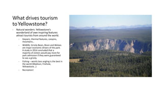 Economics in Yellowstone | PPTX