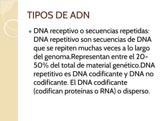 Estructura y organizacon del genoma humano | PPTX