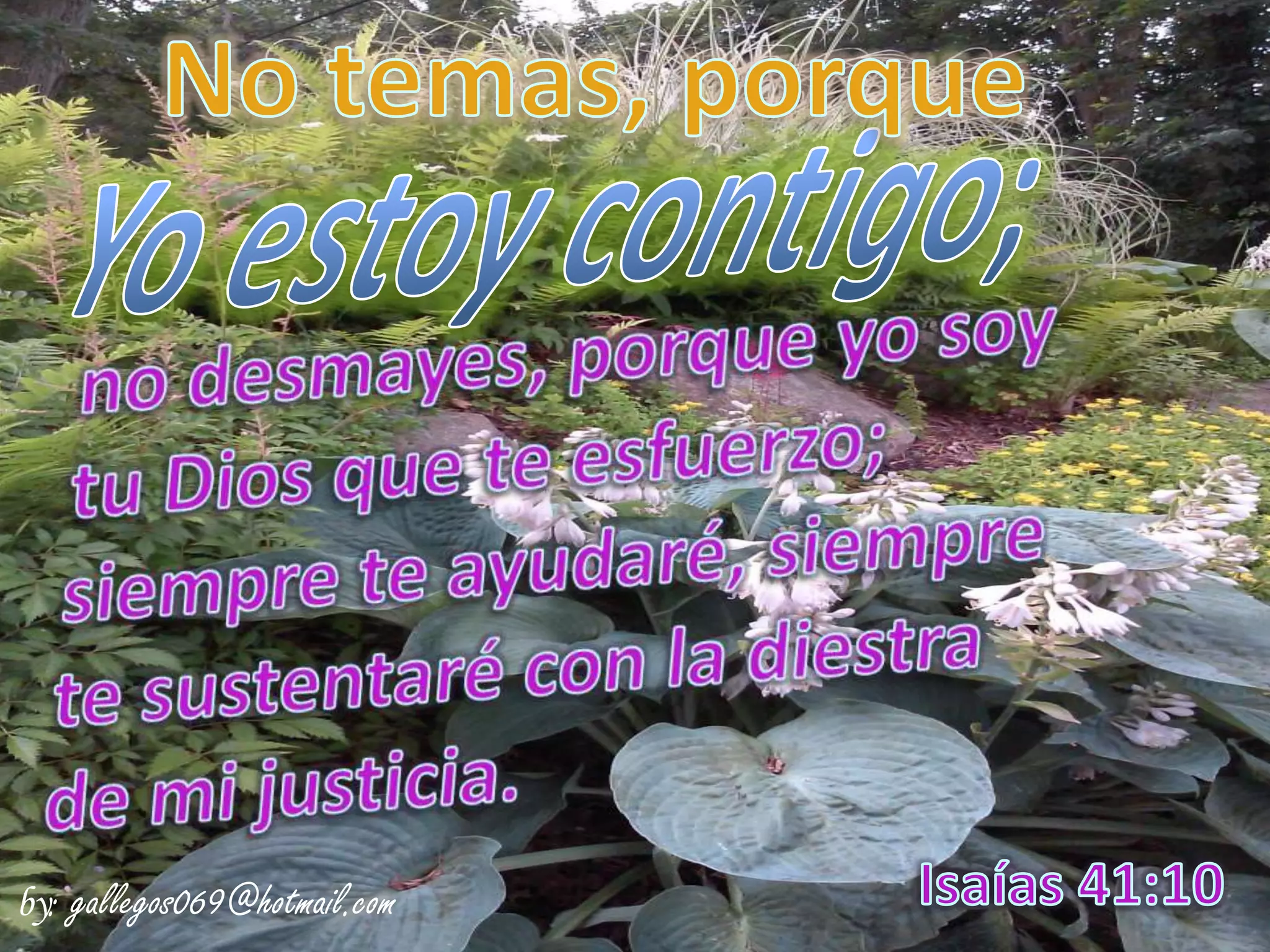 Yo estoy contigo | PPTX